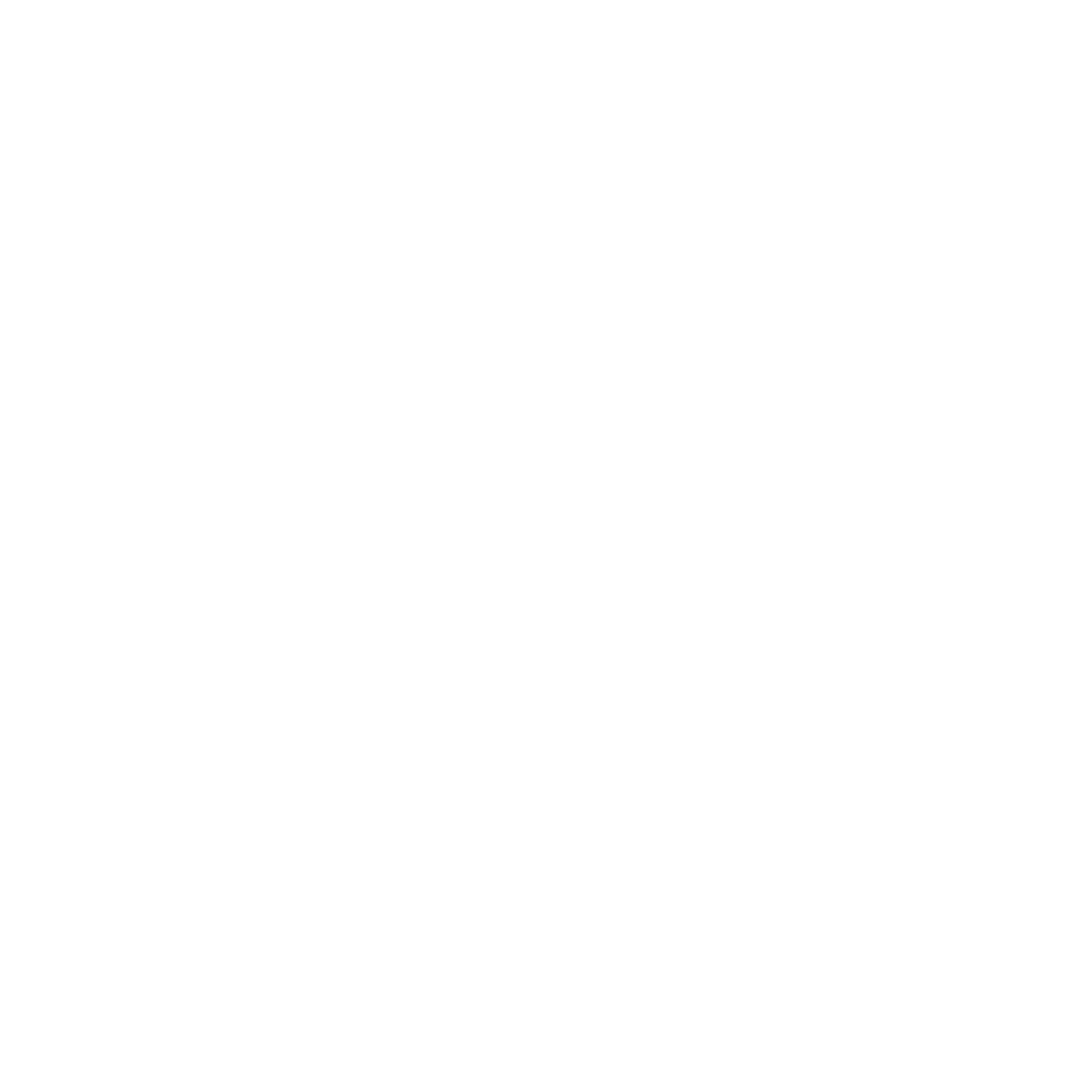 BeamMP (BeamNG Multiplayer) – Installation de mods – Service Informatique